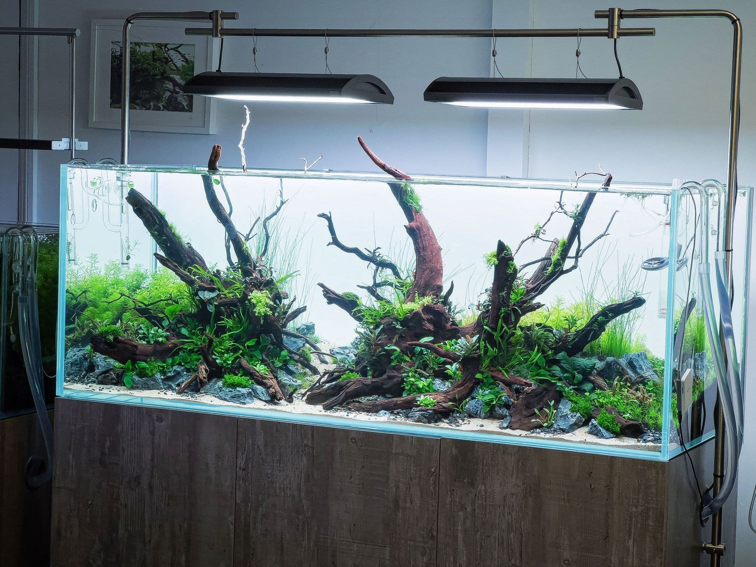 News – MarcusFishTanks