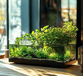 Home – MarcusFishTanks